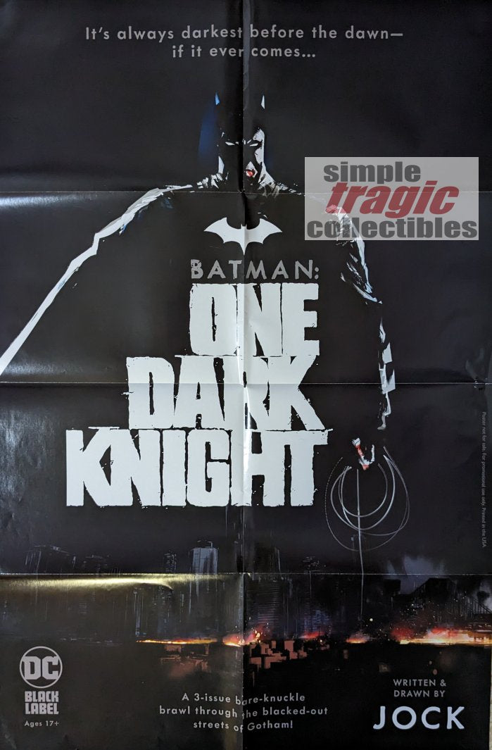 Batman: One Dark Knight (2021) 24" x 36" Promo Poster – Simple Tragic ...